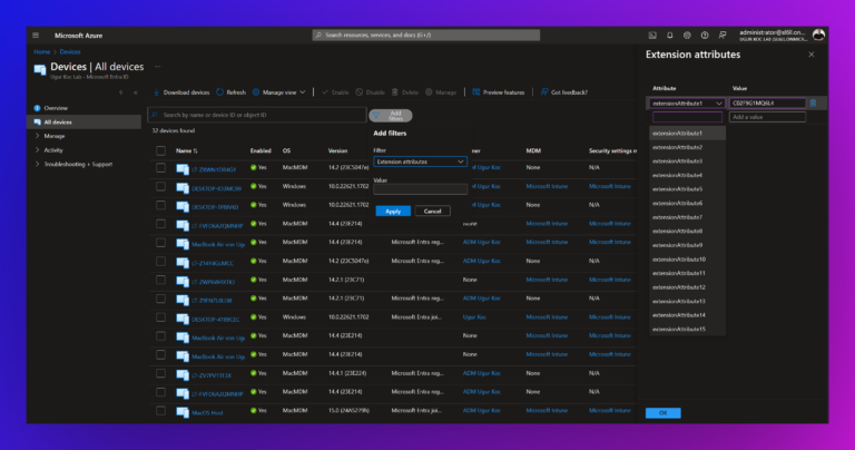 From Intune To Entraid Add Custom Data To The Extension Attributes
